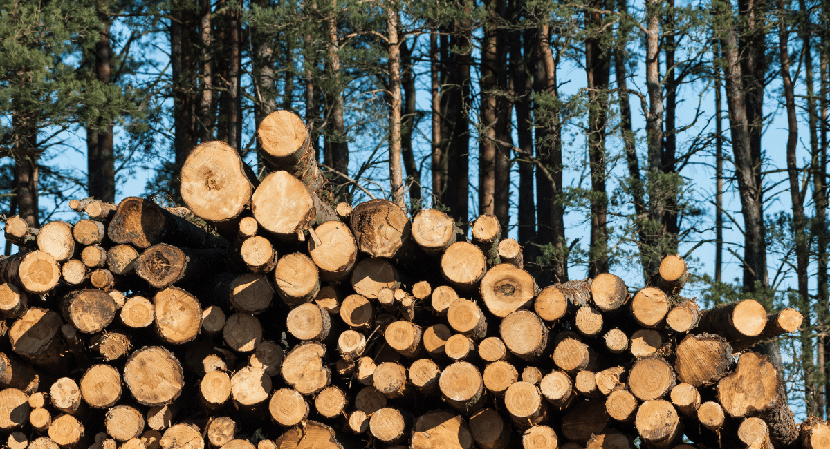 Bureau of Land Management - Oregon State Office - Logging Road Right of Way Individual Bond ...